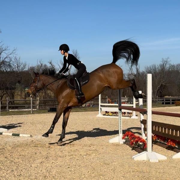 Senor Buscador Wins Million Saudi Cup, Todd Fincher…